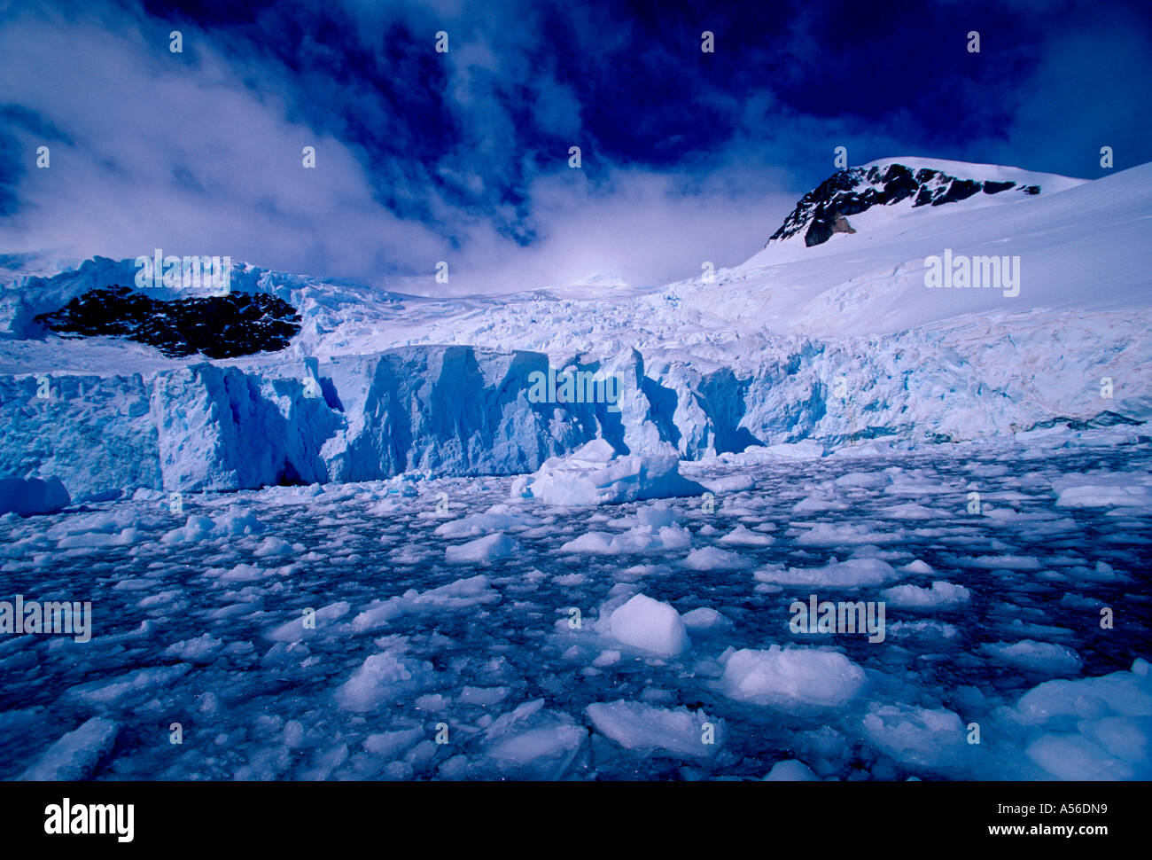 glacier, glaciers, berry bits, granite rock outcrop, continental ...