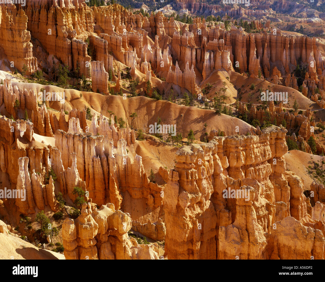 USA - UTAH: Bryce Canyon National Park seen from Sunset Point Stock ...