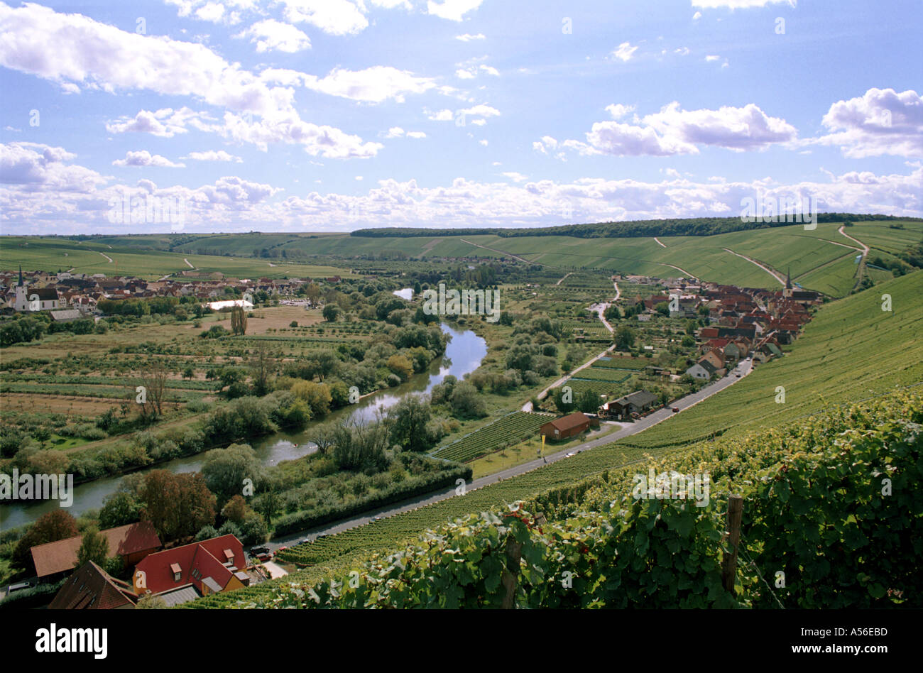 Europe Germany Franken Main river near Volkach Wine Vineyards Stock ...