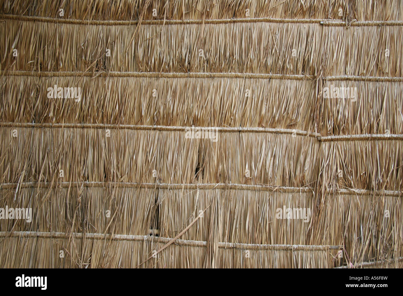 Painet iy8444 thailand detail woven bamboo thatch wall house chiang mai ...