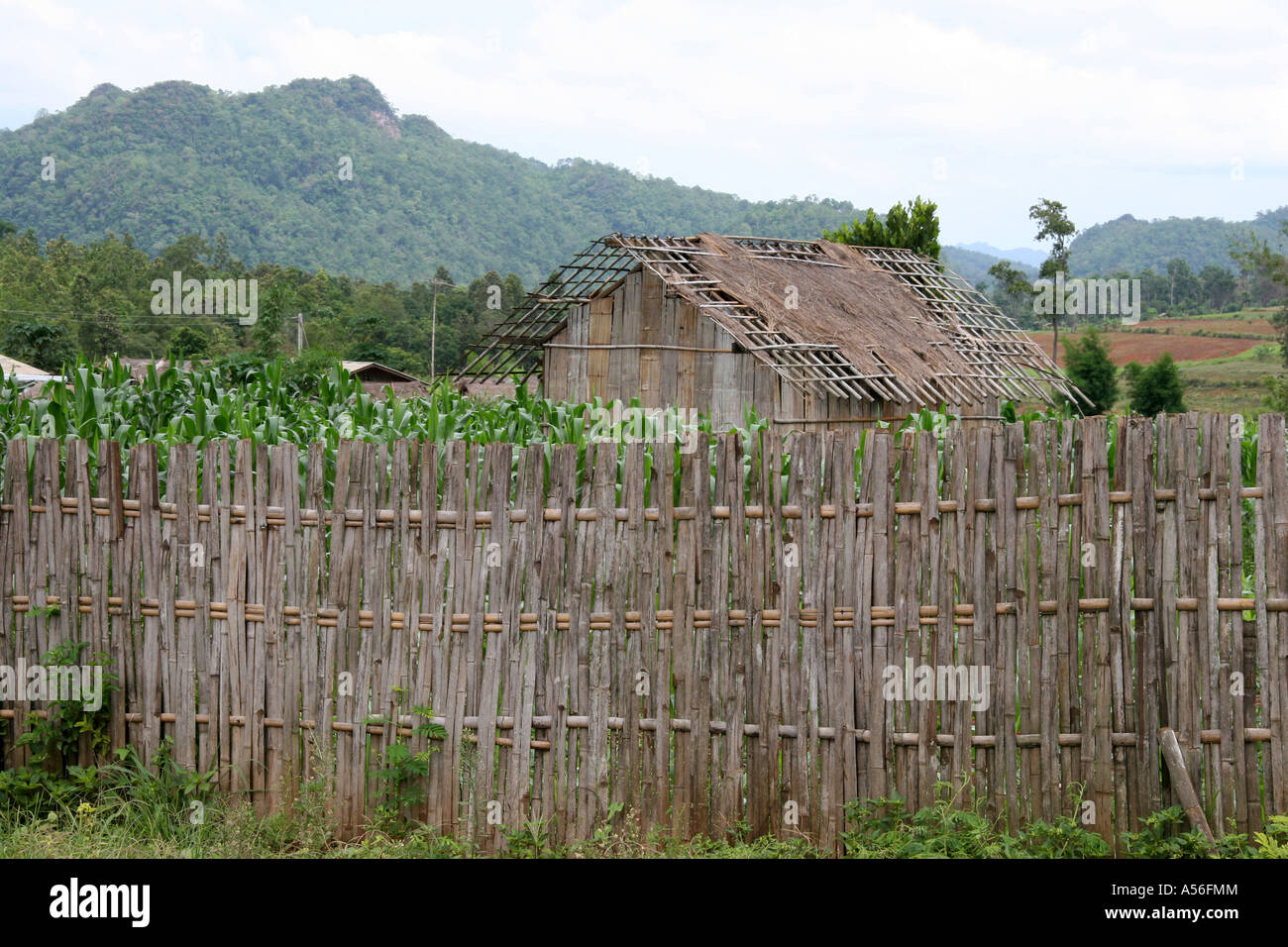 Painet iy8462 thailand garden fence chiang dao village mai photo 2005 ...