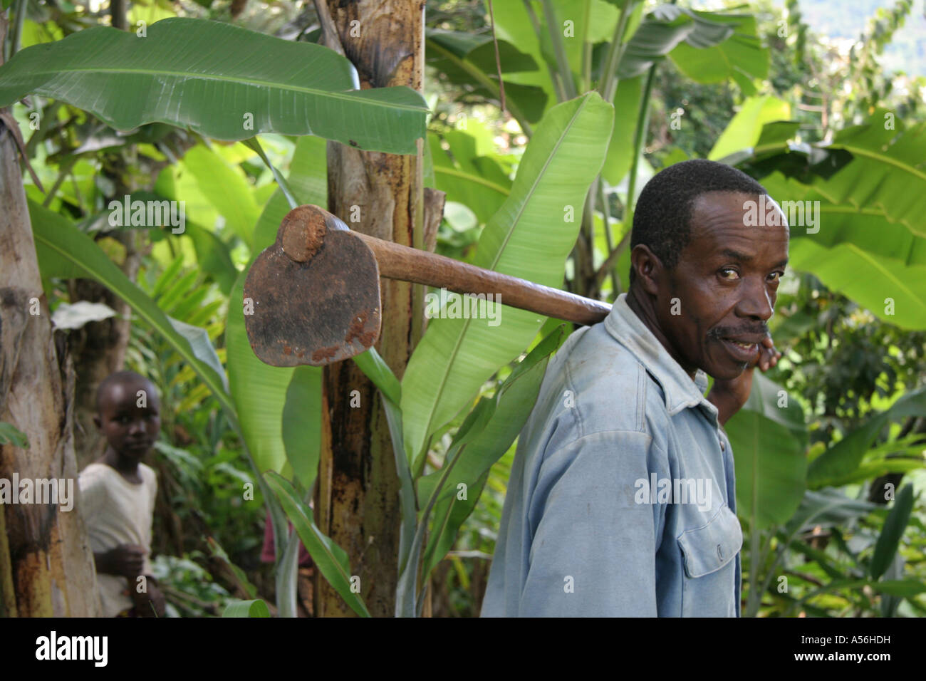 Painet iy8577 tanzania man male carrying hoe walks fields start ...