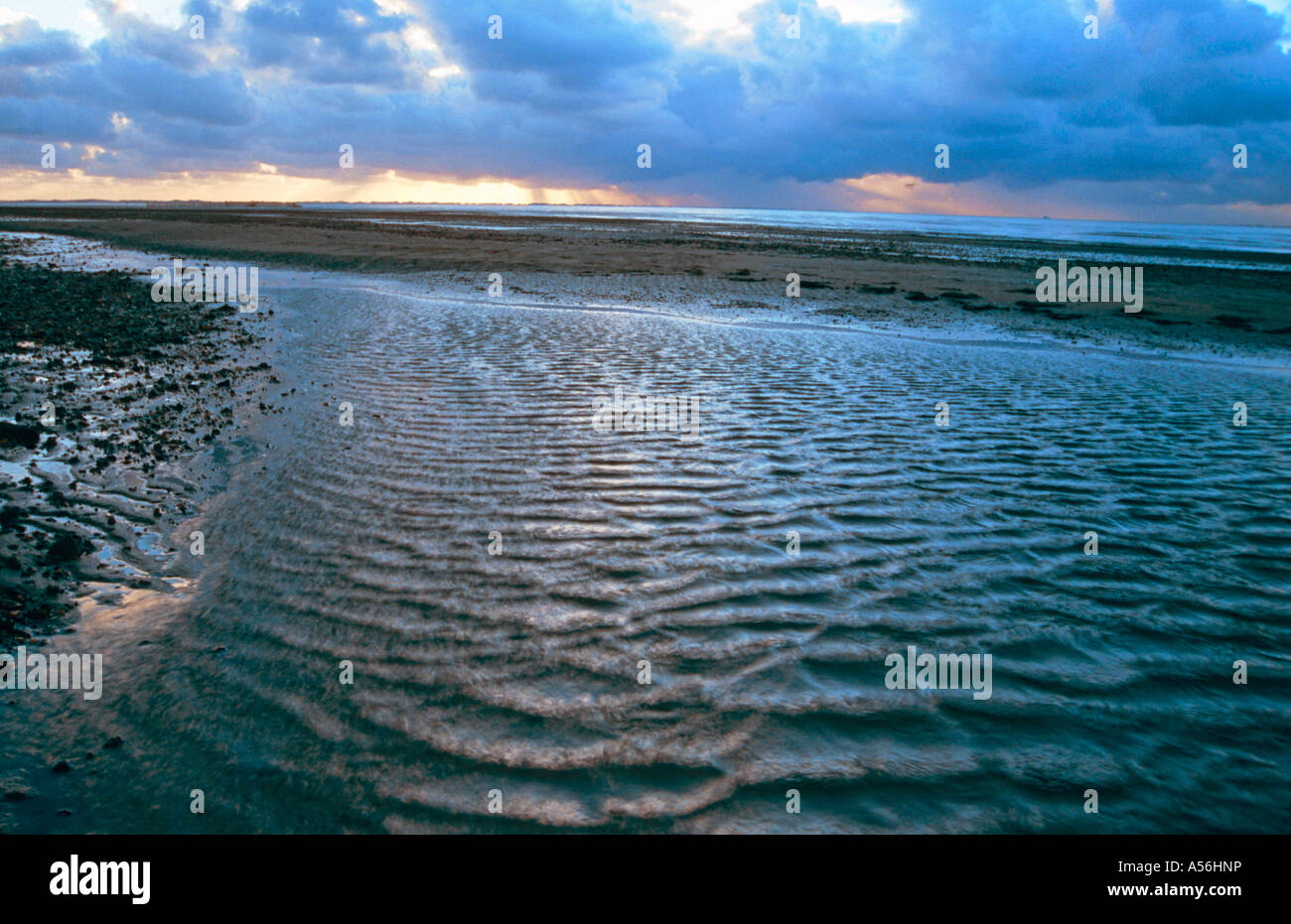 Schelfmeer hi-res stock photography and images - Alamy
