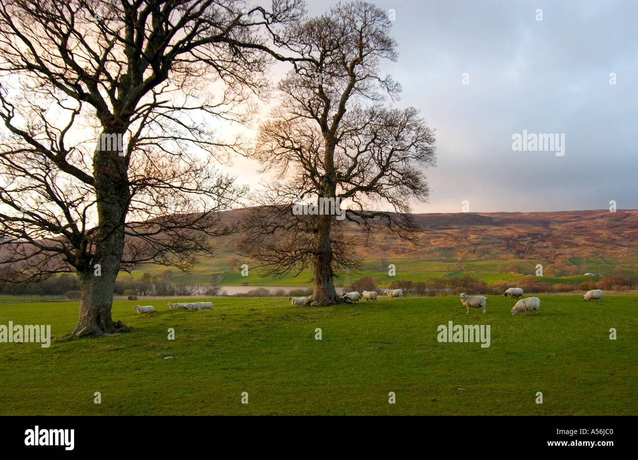 Amulree scotland hi-res stock photography and images - Alamy