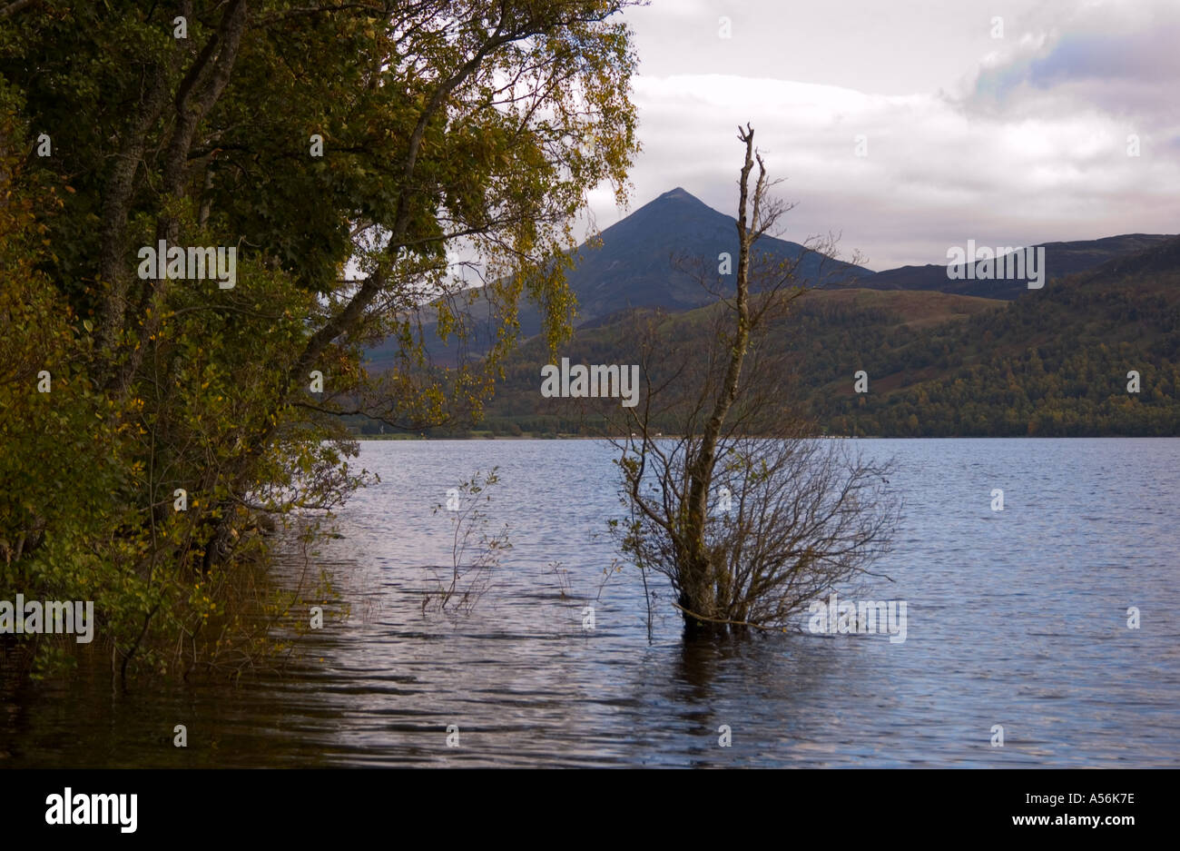 Loch Rannoch With Schiehallion High Resolution Stock Photography and ...