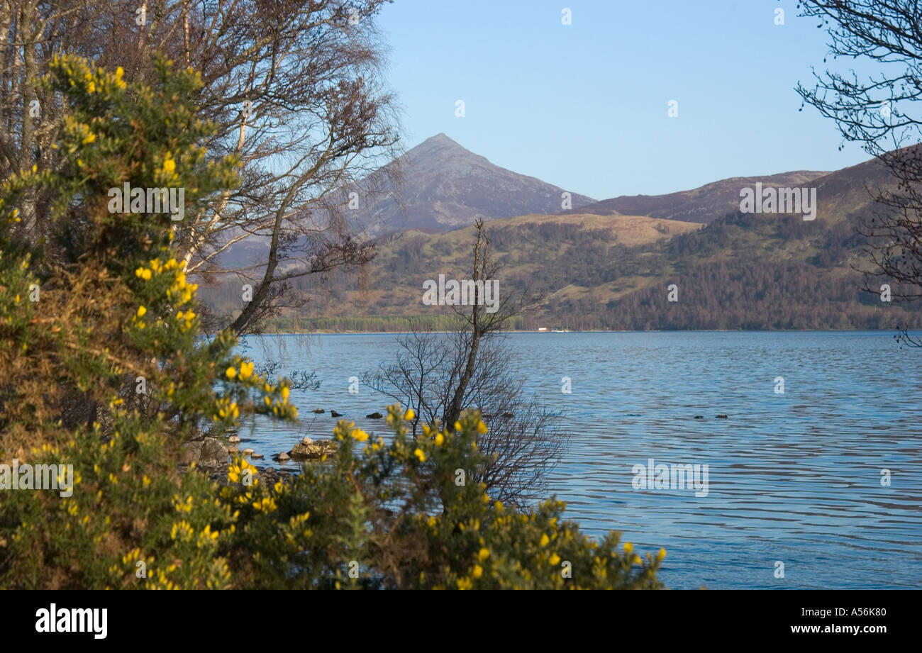 Schiehallion spring hi-res stock photography and images - Alamy