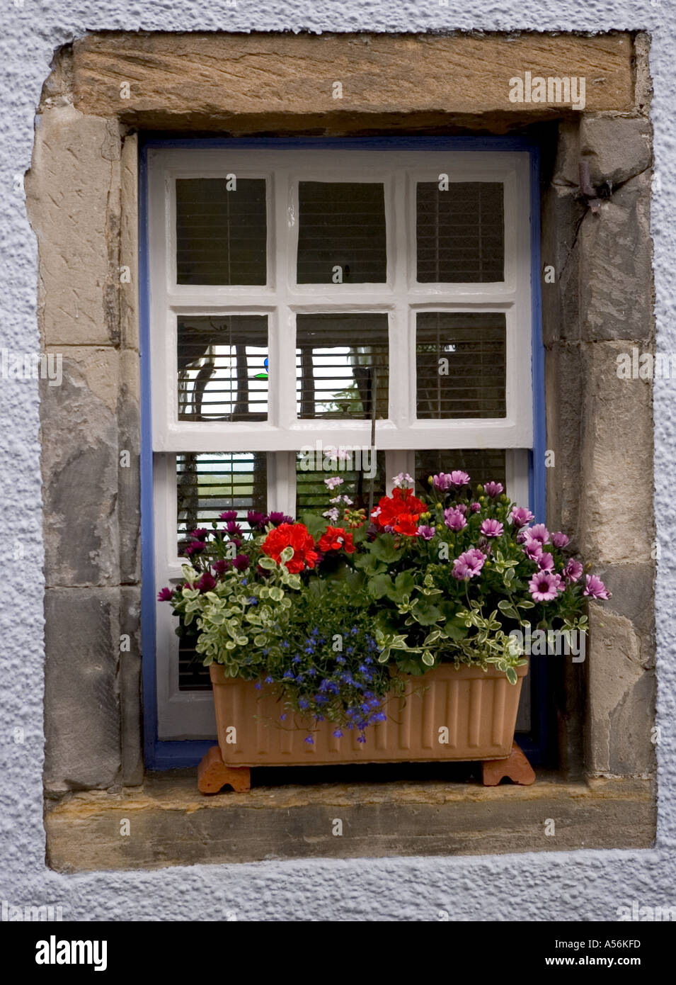 Window and flowers Stock Photo - Alamy