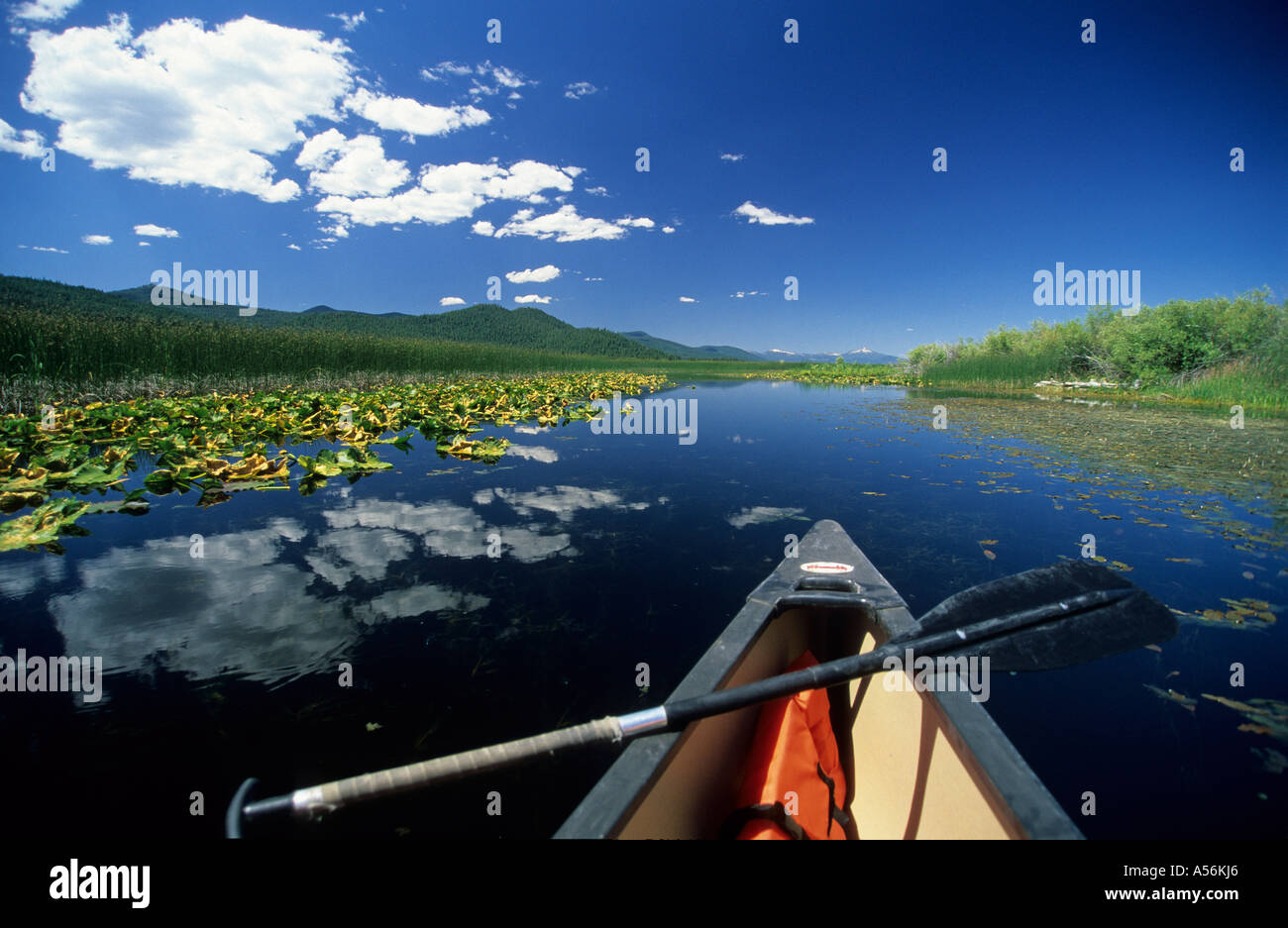 Canoe on Upper Klamath Lake, Oregon, USA Stock Photo - Alamy