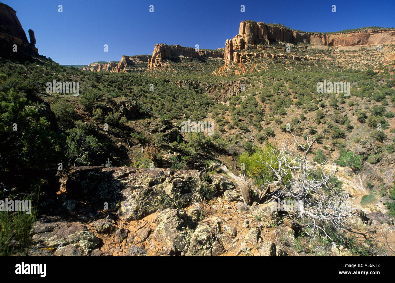 Devils Canyon at McInnis Canyons National Conservation Area, Grand ...