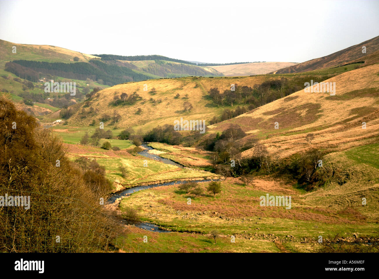 River Ashop Tributary of River Derwent High Peak Derbyshire England UK ...