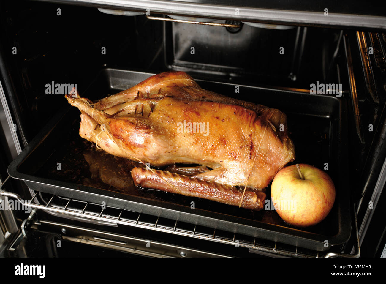 Roasted goose on baking tray, elevated view Stock Photo - Alamy