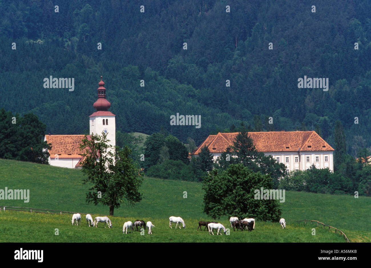 Piber hi-res stock photography and images - Alamy