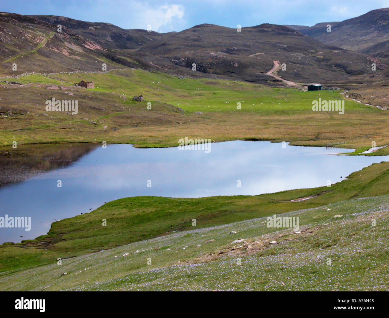 Hams of Muckle Roe Shetland Stock Photo - Alamy