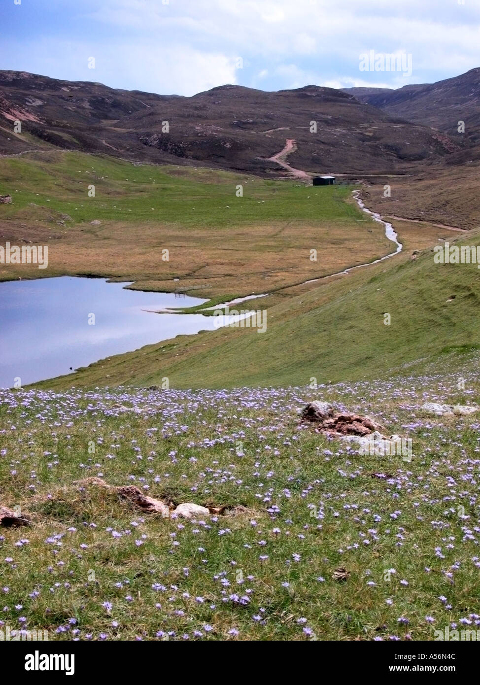 Hams of Muckle Roe Shetland Stock Photo - Alamy