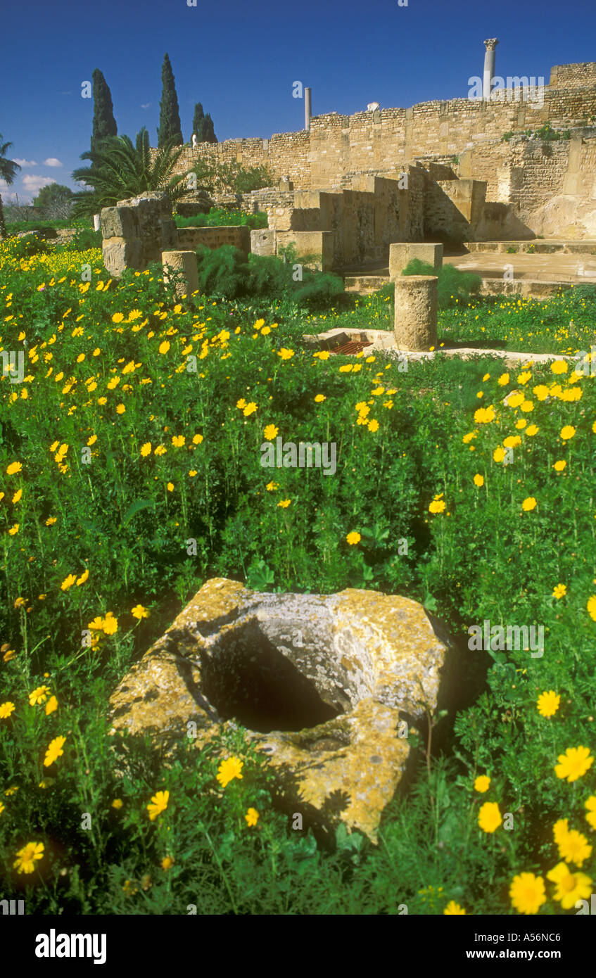 Carthage hi-res stock photography and images - Alamy