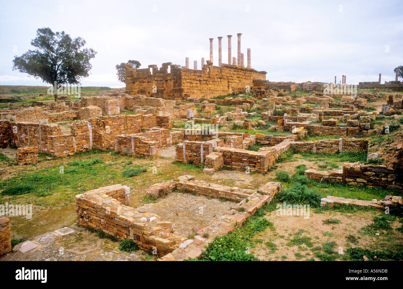 Roman ruins Thuburbo Majus Tunisia Africa Stock Photo - Alamy