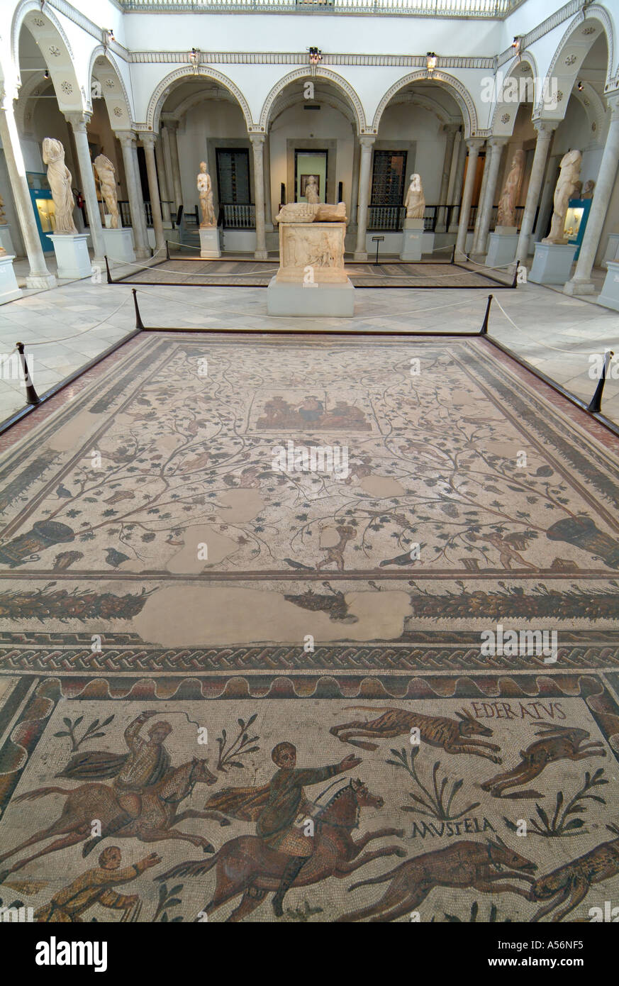Ancient Mosaic In Museum Carthage High Resolution Stock Photography and ...