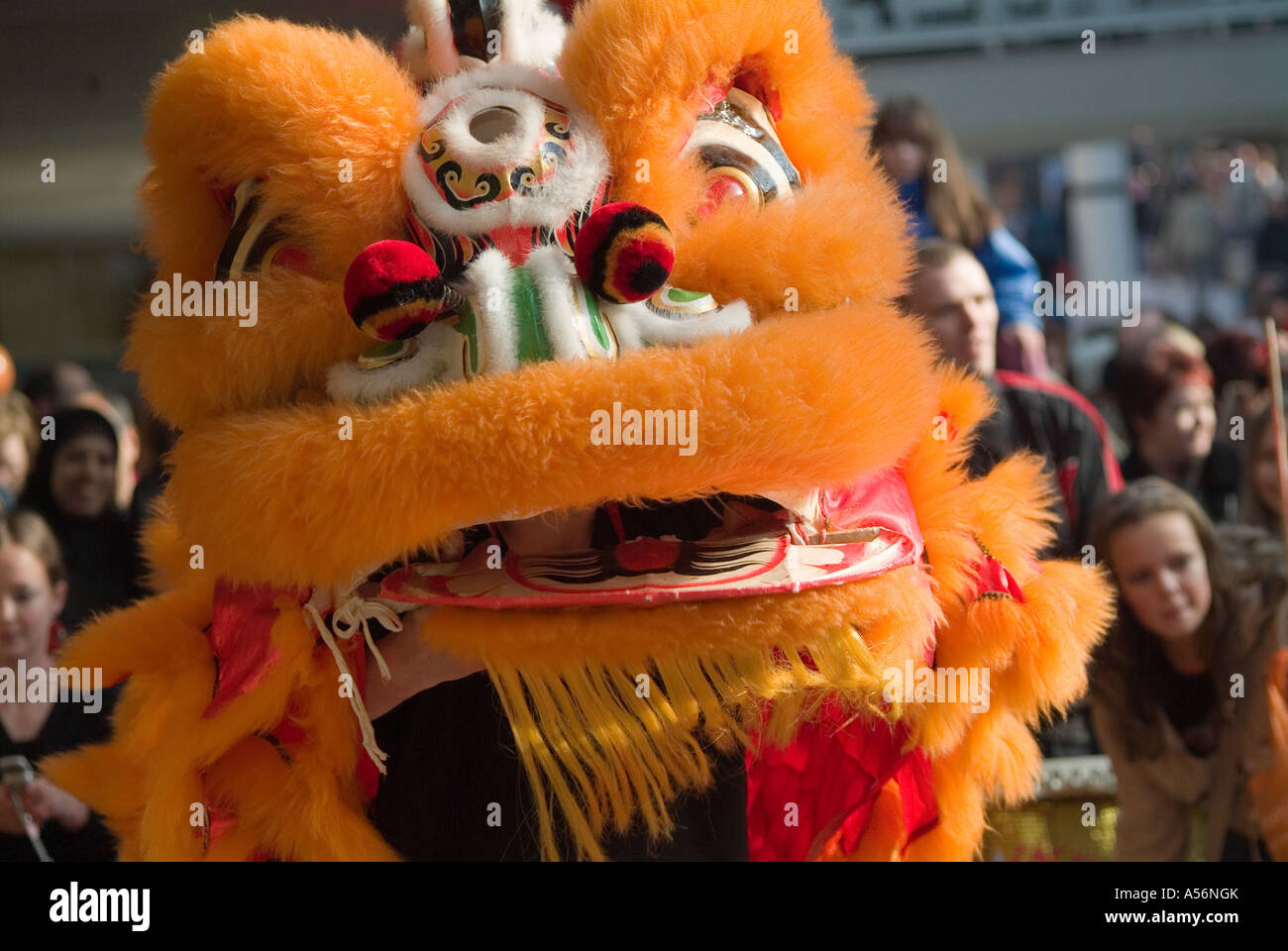 Dragon in chinese new year celebrations Stock Photo - Alamy