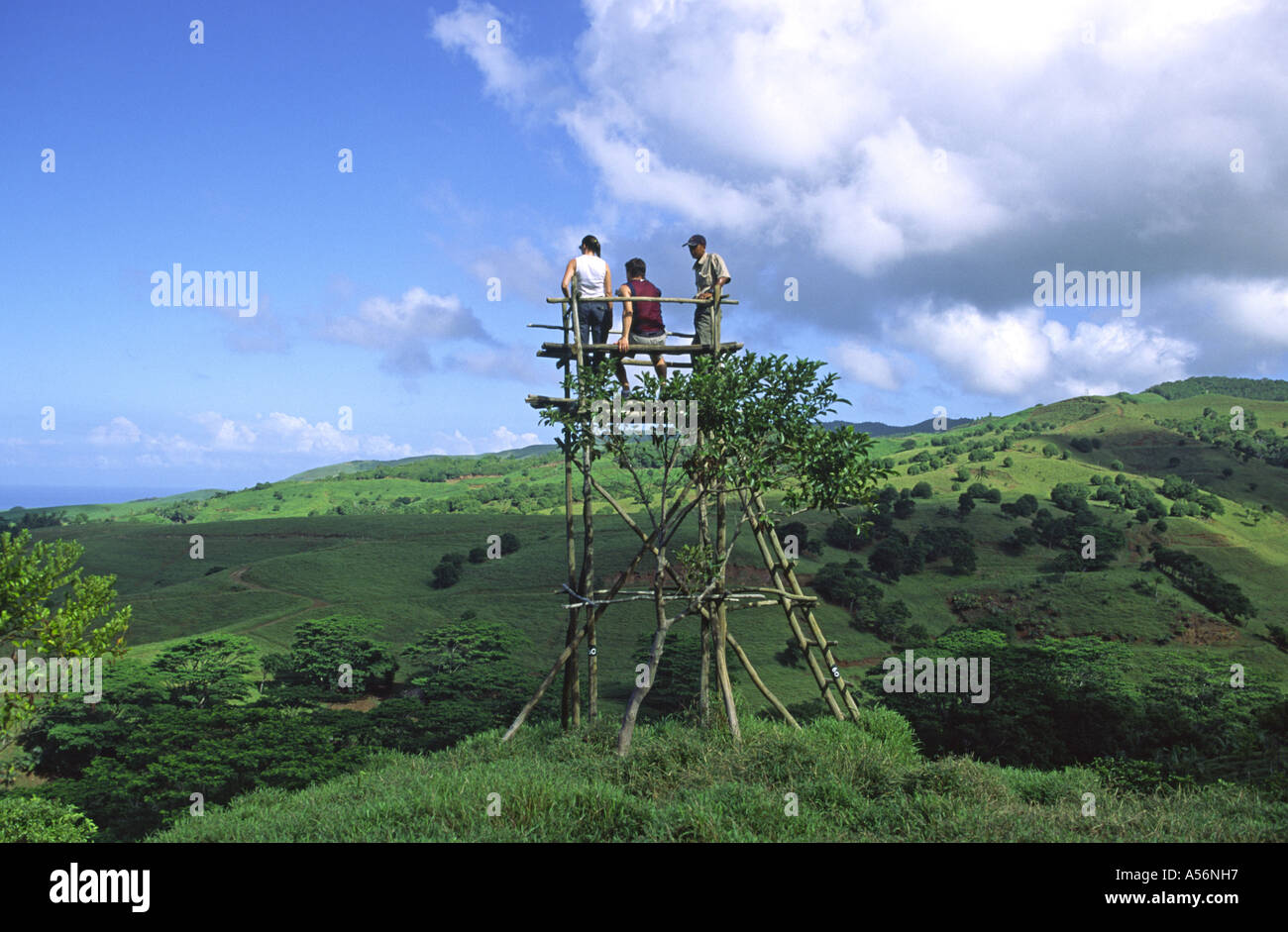 Valriche - Bel Ombre nature reserve, Mauritius Stock Photo - Alamy