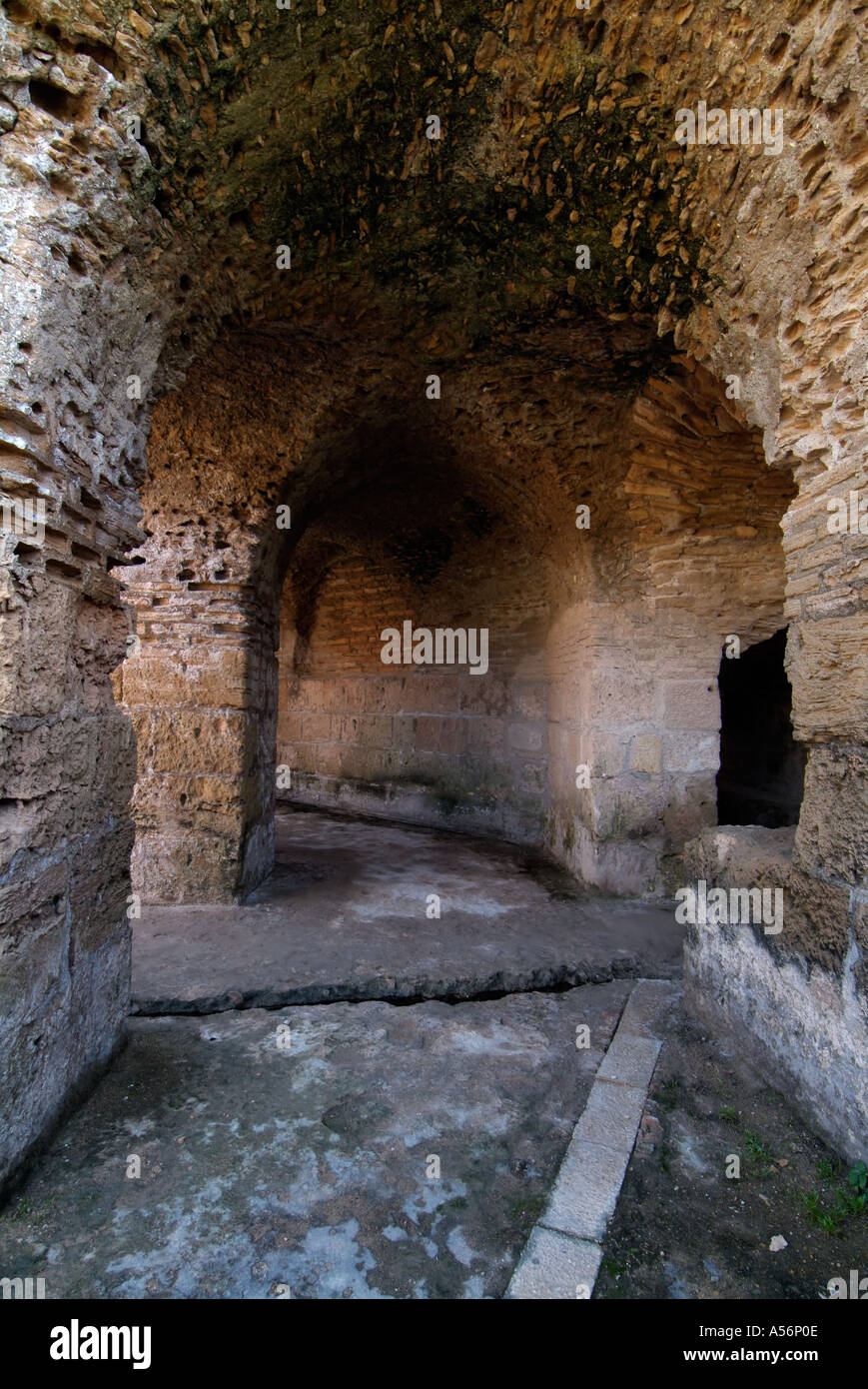 Antonine Roman Thermal Baths, Carthage, Tunisia Stock Photo - Alamy
