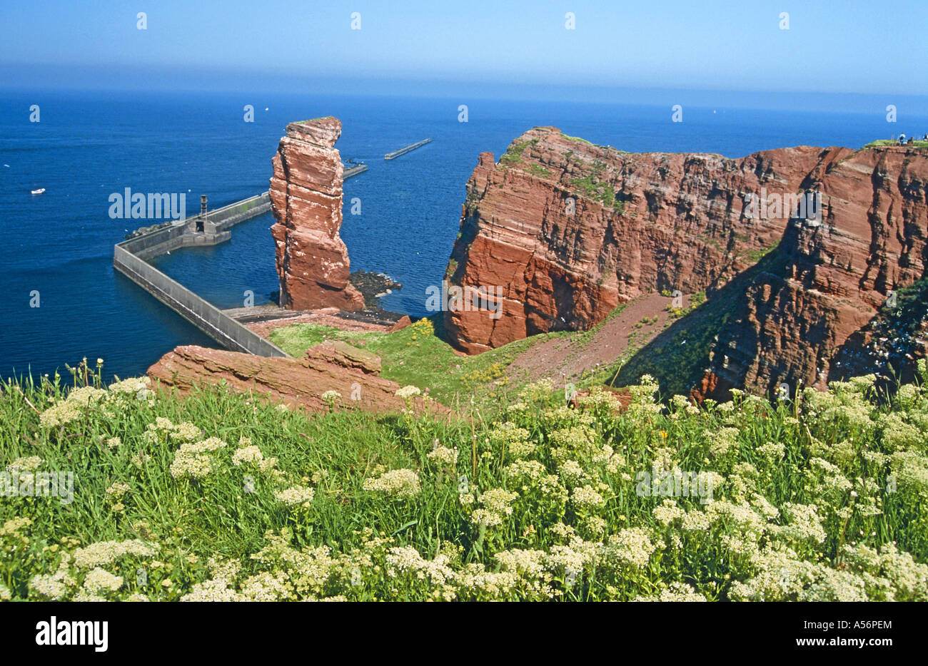 Blick auf die Lange Anna dem Wahrzeichen der Insel Rote Felsen ...