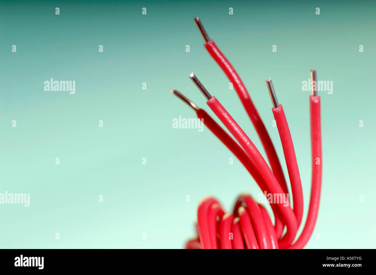 Electrical wires, close-up Stock Photo - Alamy