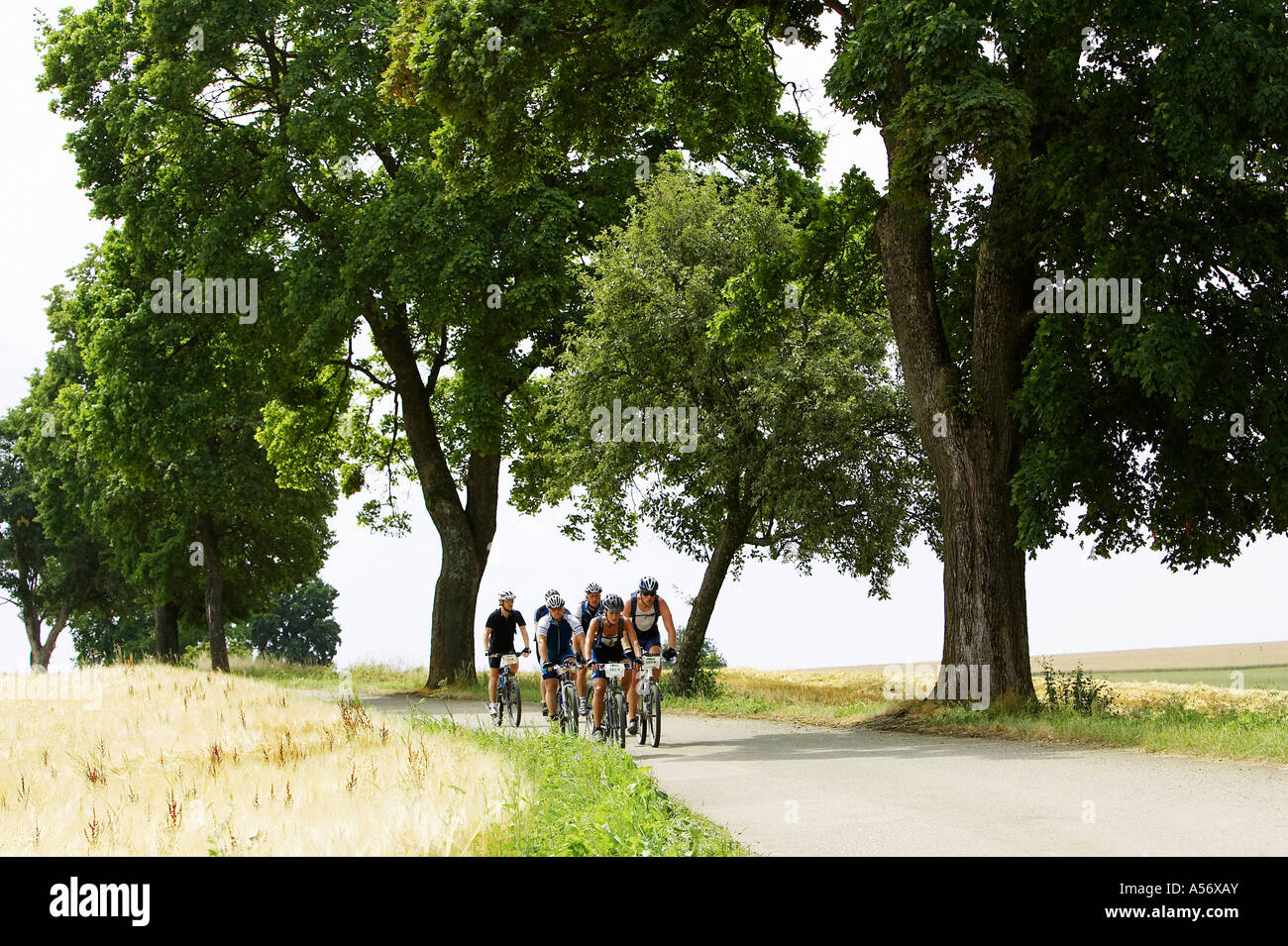 Germany, Bavaria, group of cyclists Stock Photo - Alamy