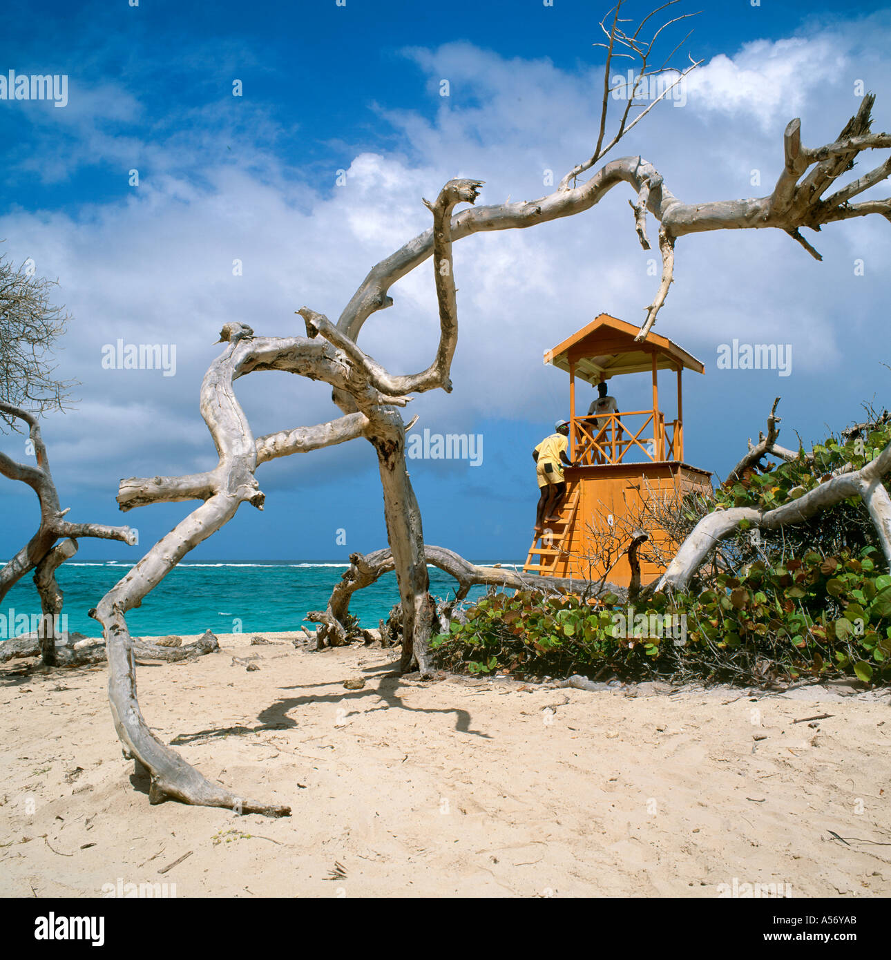 Lifeguard hut hi-res stock photography and images - Alamy