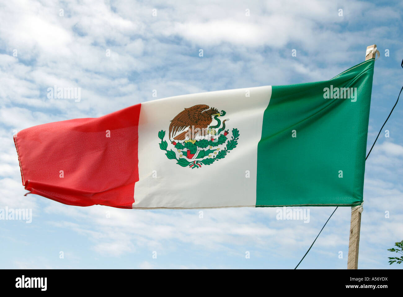 Mexican Flag Stock Photos & Mexican Flag Stock Images - Alamy