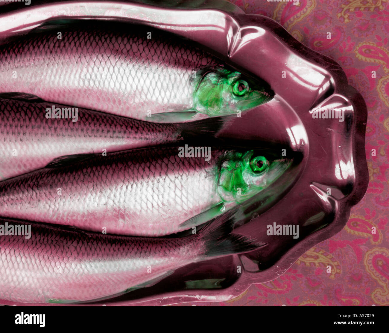 Herring trail hi-res stock photography and images - Alamy