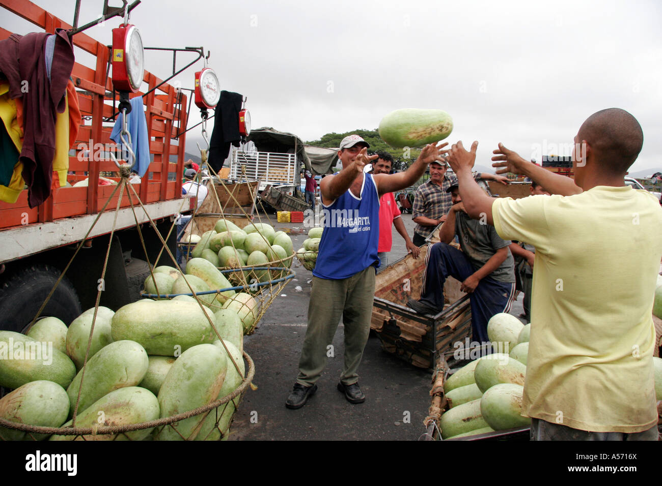 Painet ja1268 venezuela wholesale fruit vegetable outdoor market ...