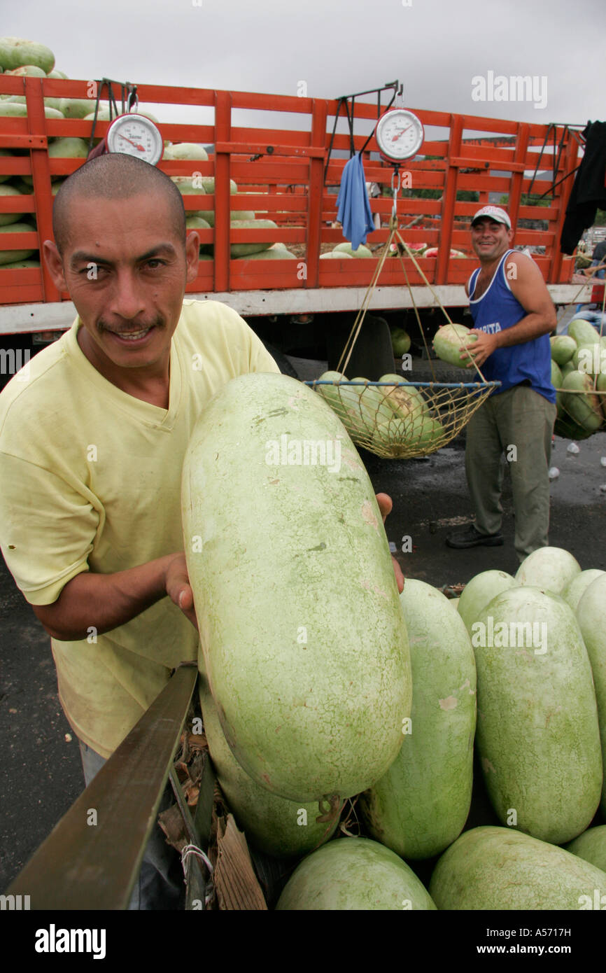 Painet ja1269 venezuela wholesale fruit vegetable outdoor market ...
