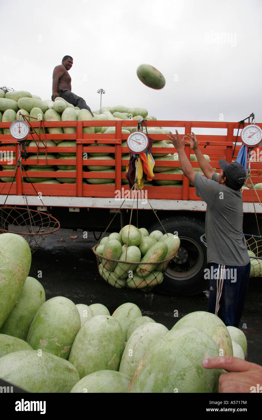 Painet ja1270 venezuela wholesale fruit vegetable outdoor market ...