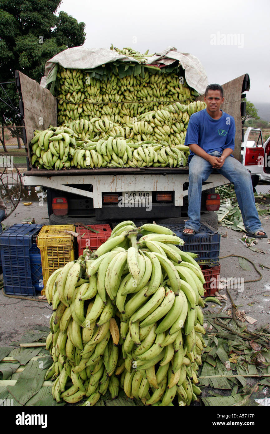 Painet ja1271 venezuela wholesale fruit vegetable outdoor market ...
