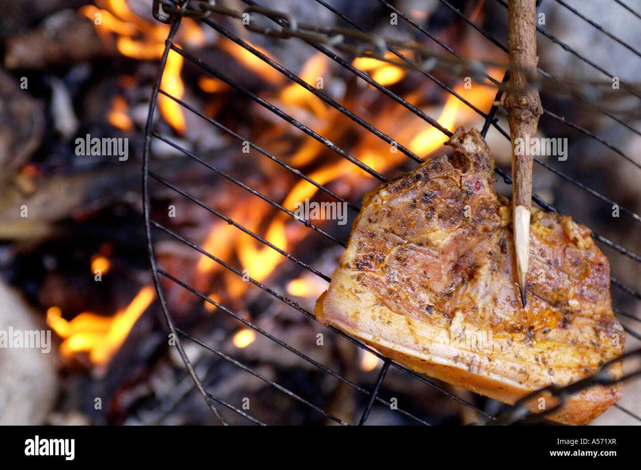 Meat on grill at camp fire Stock Photo - Alamy