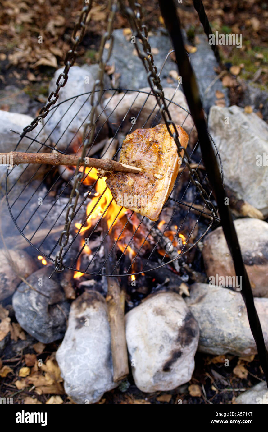 Meat on grill at camp fire Stock Photo - Alamy