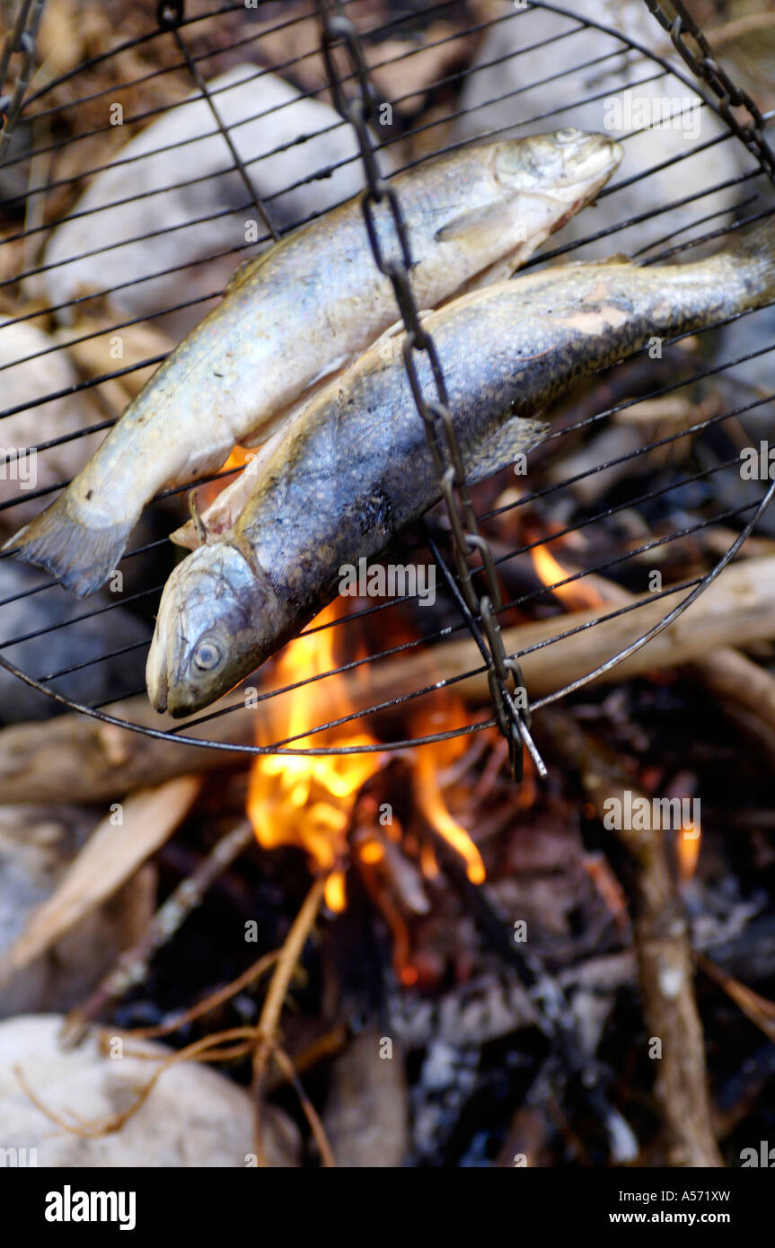 Vertical shot campfire on hi-res stock photography and images - Alamy