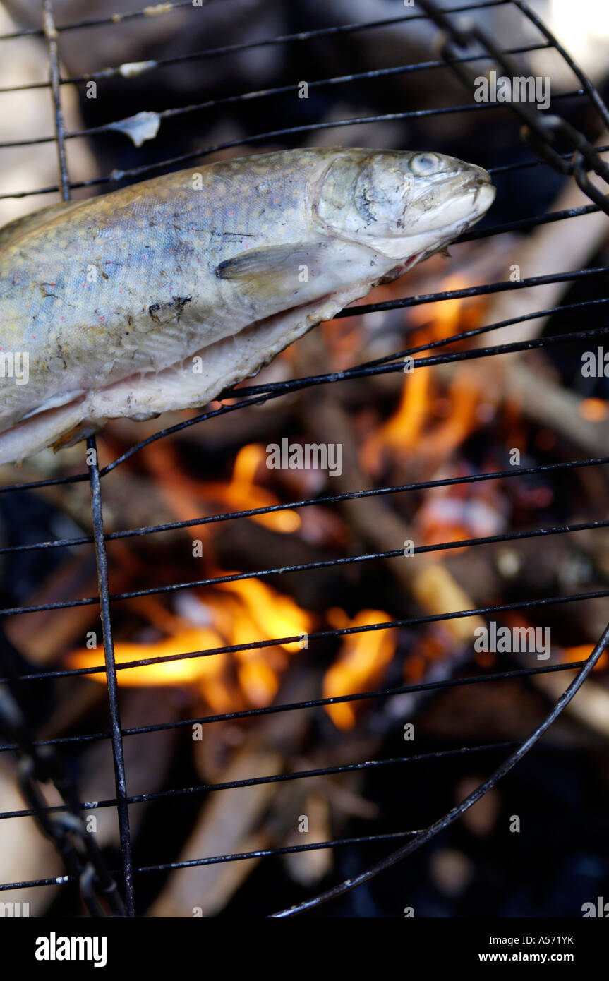 Trout on grill at camp fire, close-up Stock Photo - Alamy