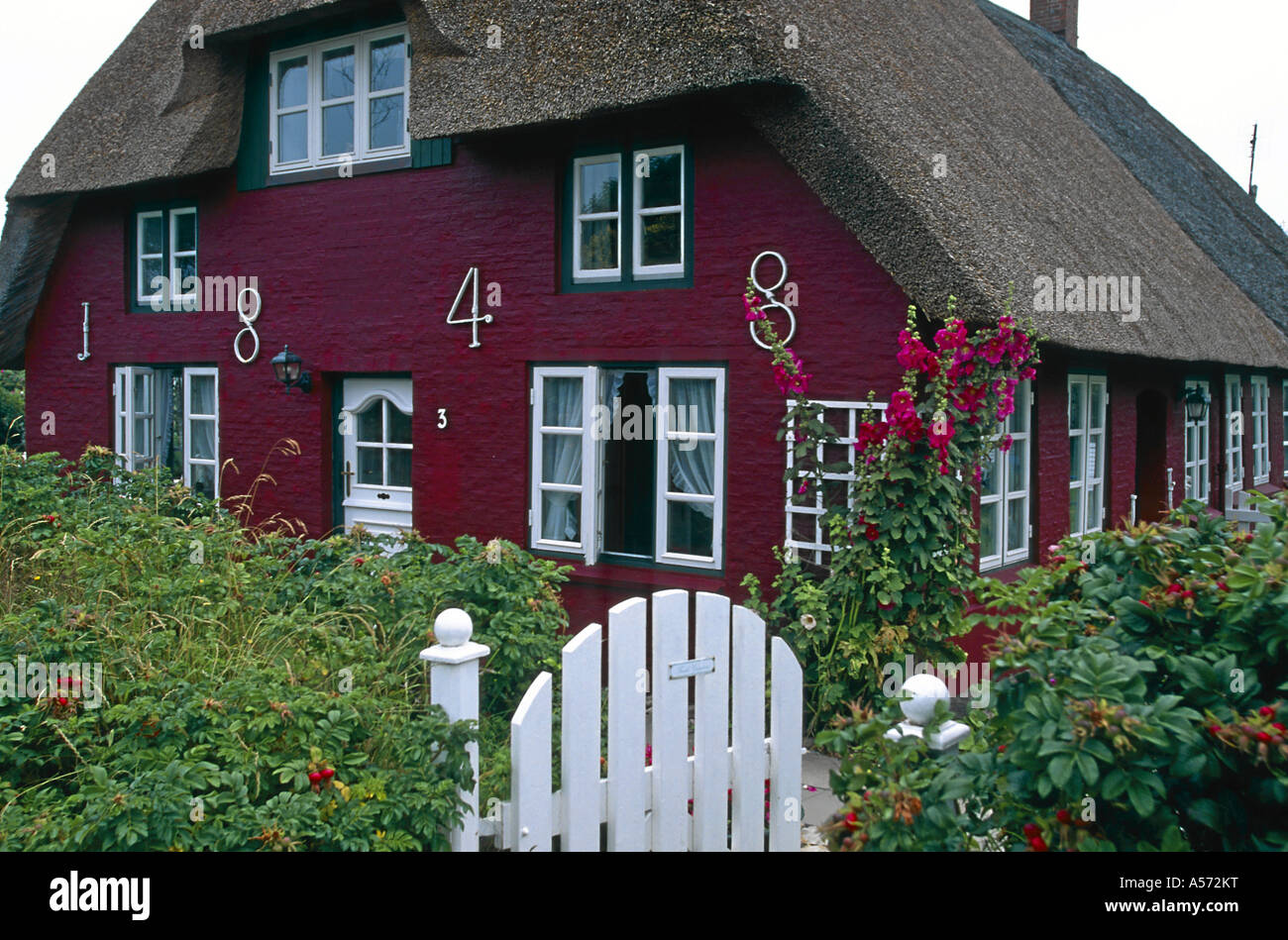 Reetdach Haus Nebel Amrum Nordfriesische Inseln Deutschland Stock Photo ...