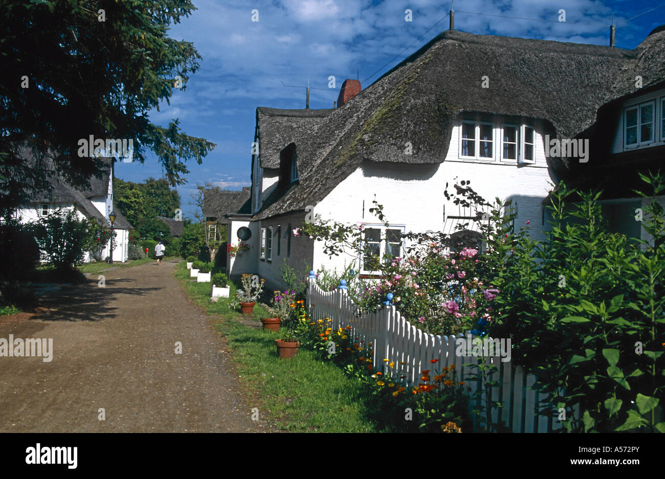 Reetdach Haeuser Nebel Amrum Nordfriesische Inseln Deutschland Stock ...