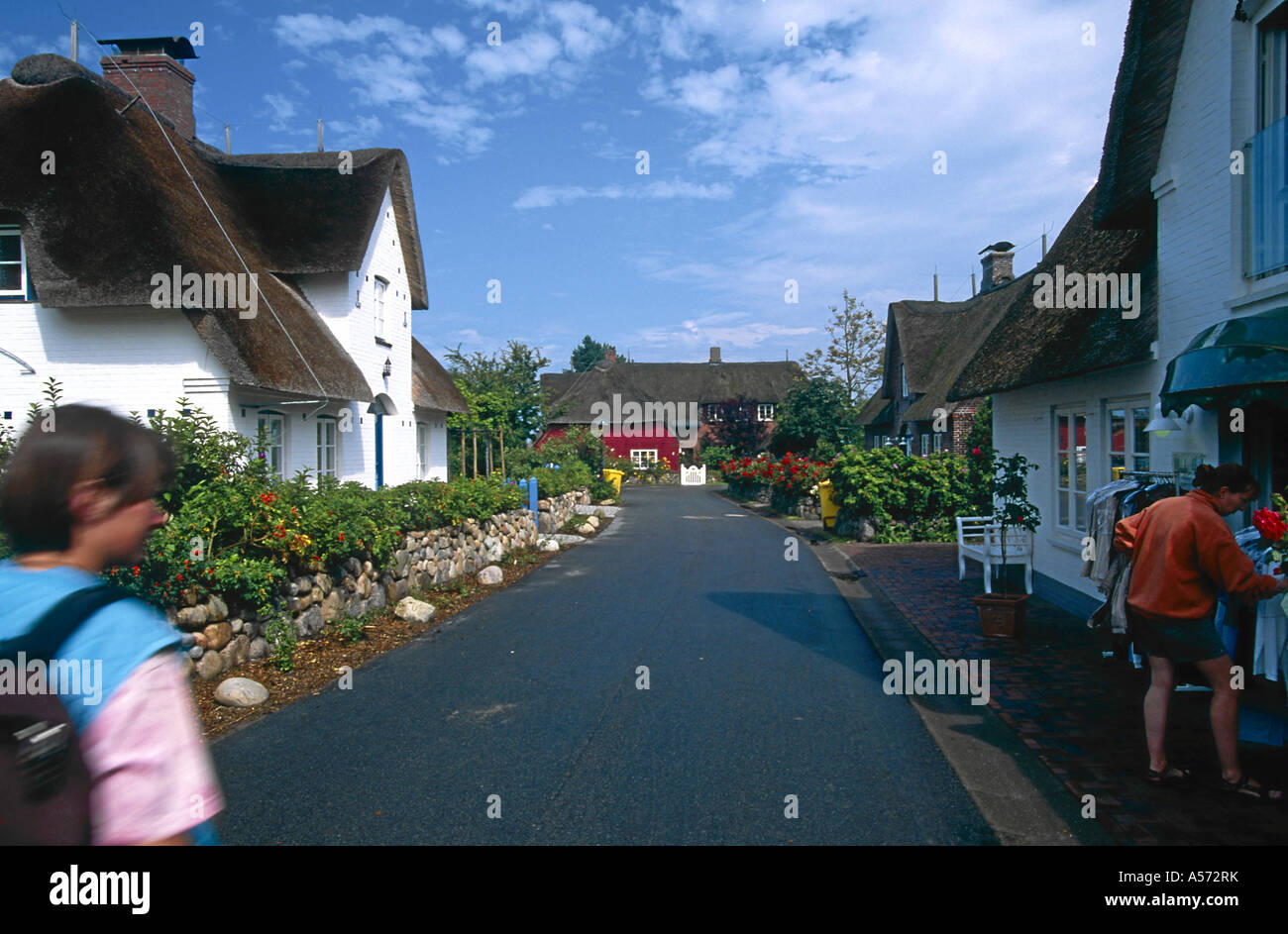 Reetdach Haeuser Nebel Amrum Nordfriesische Inseln Deutschland Stock ...