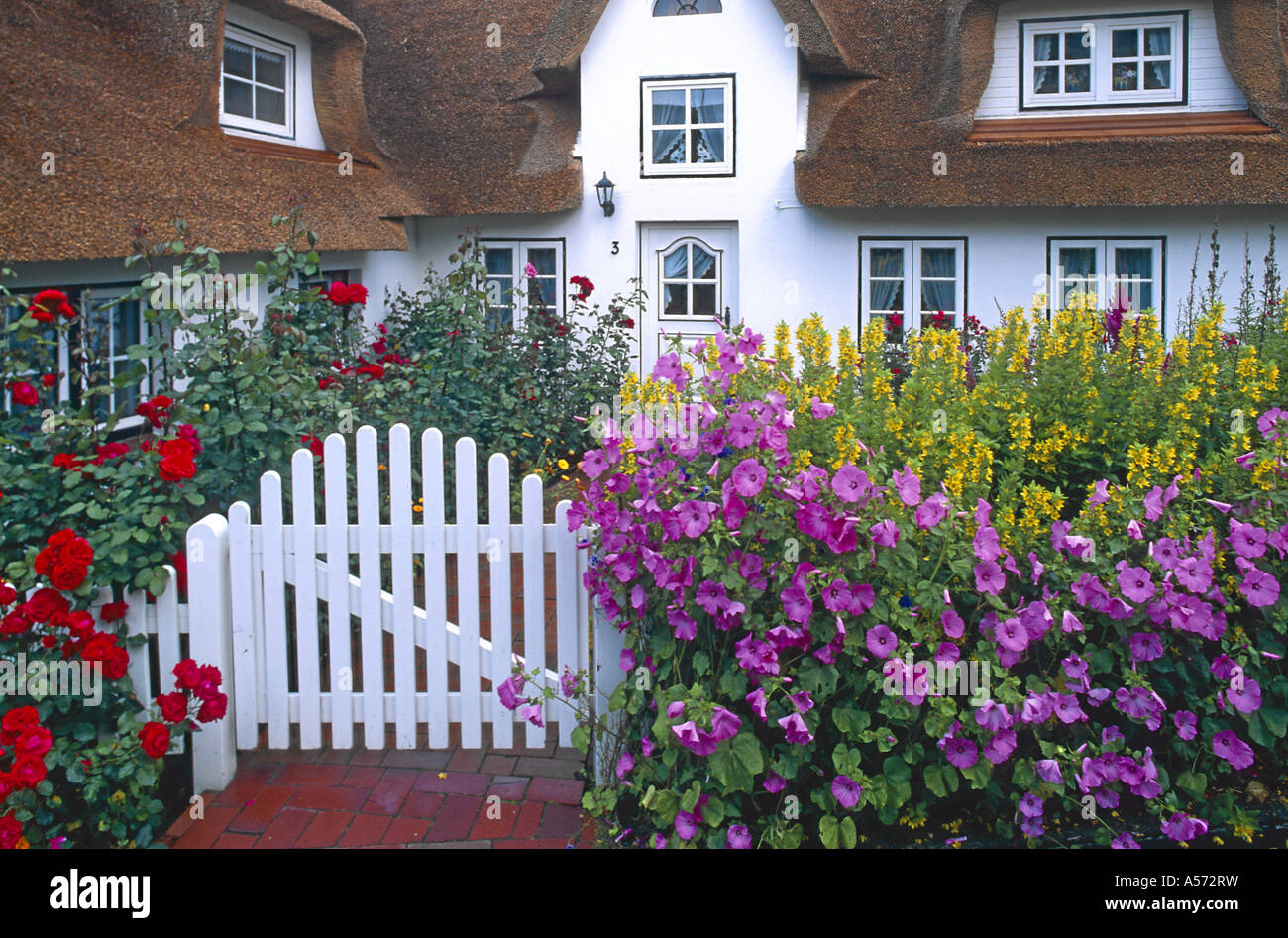 Reetdach Haus Nebel Amrum Nordfriesische Inseln Deutschland Stock Photo ...