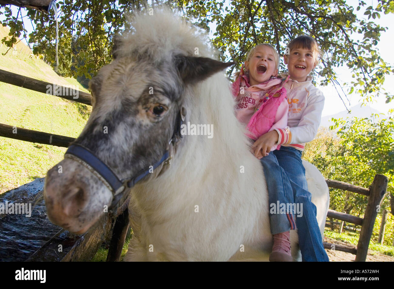 Two girls sitting on pony Stock Photo - Alamy