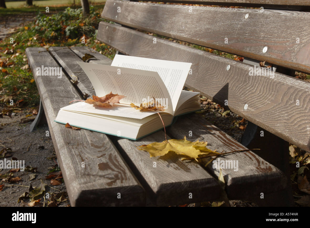 Book on bench Stock Photo - Alamy