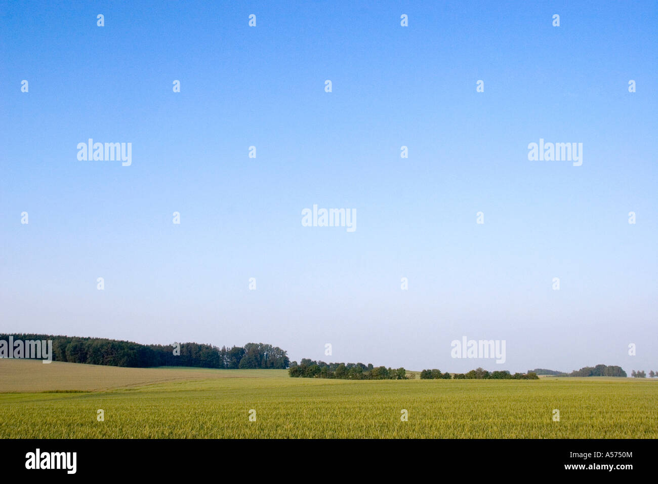 Fields in Bavaria, Germany Stock Photo - Alamy