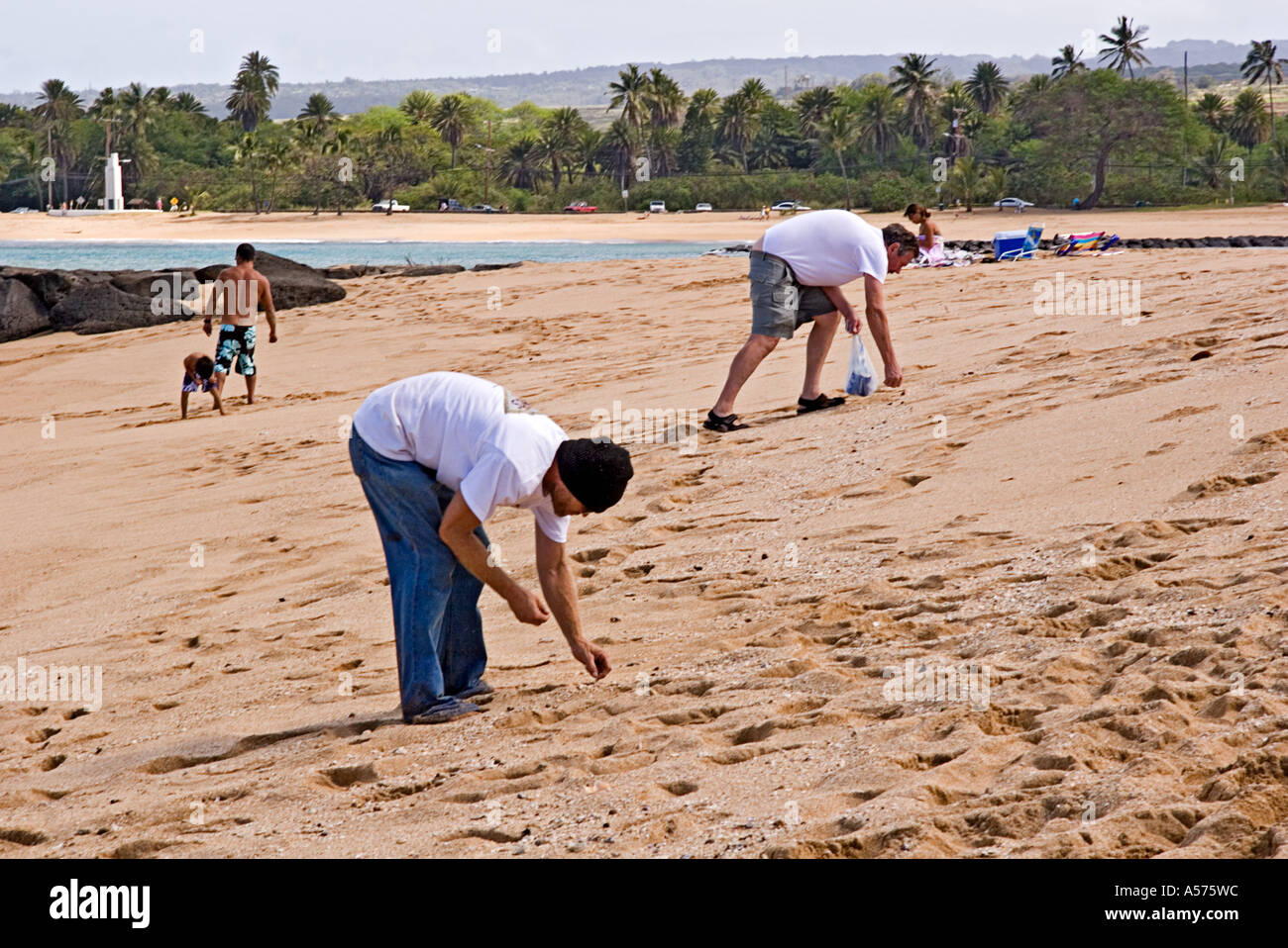 Shell collecting at Wailua Beach North Shore Oahu Hawaii Stock Photo ...