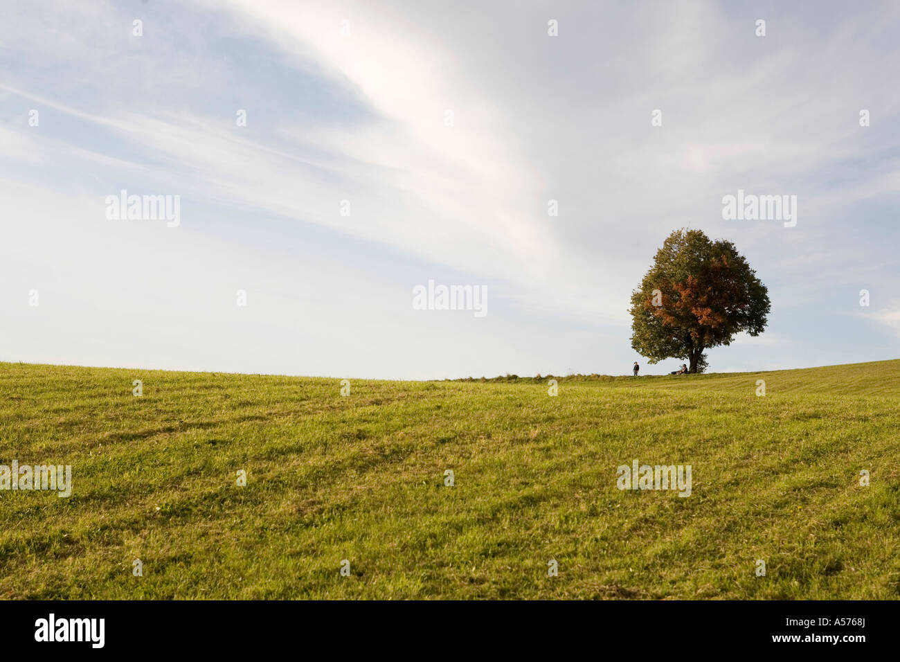 Germany, person in landscape Stock Photo - Alamy