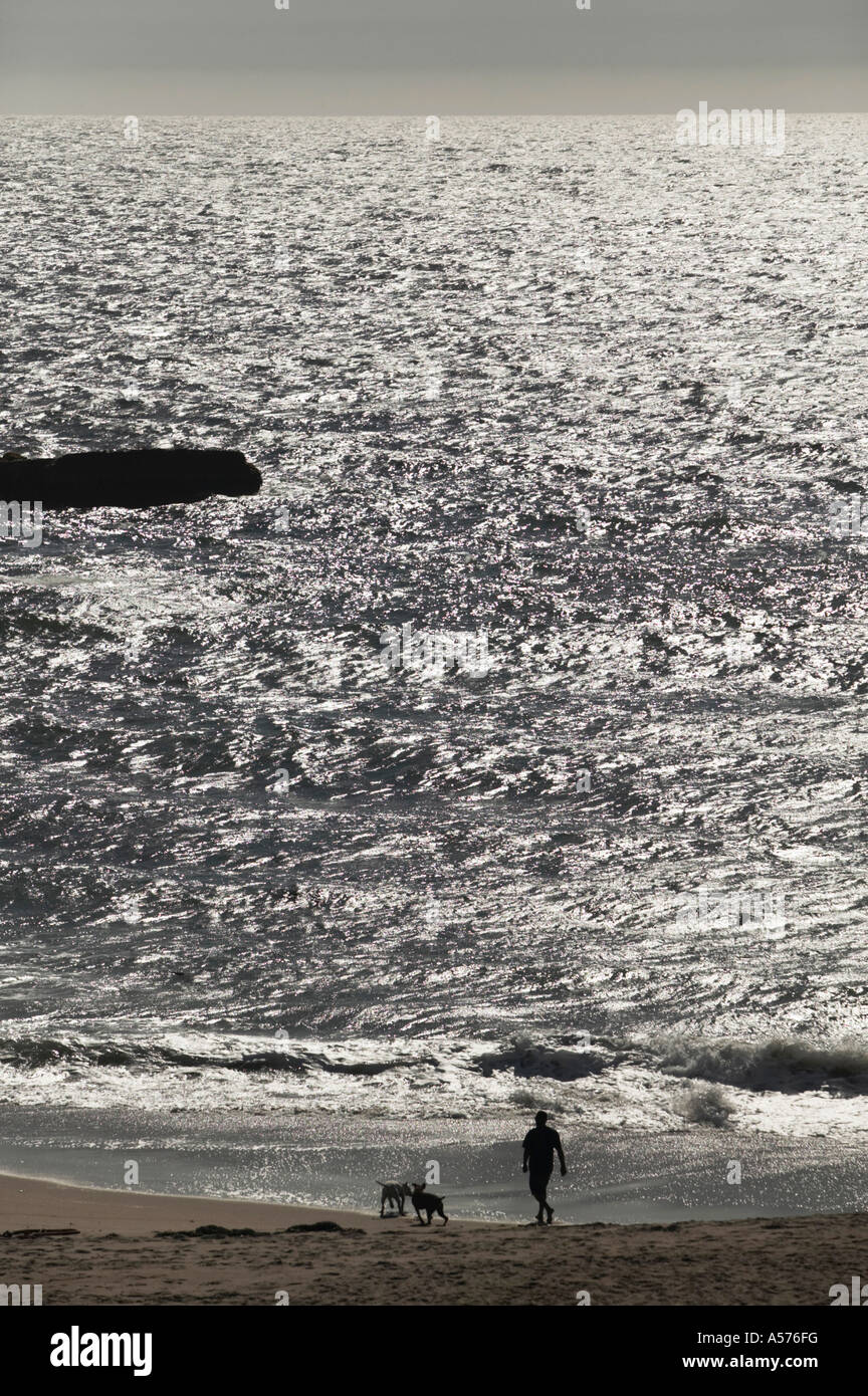 USA, California, person and two dogs on beach Stock Photo - Alamy