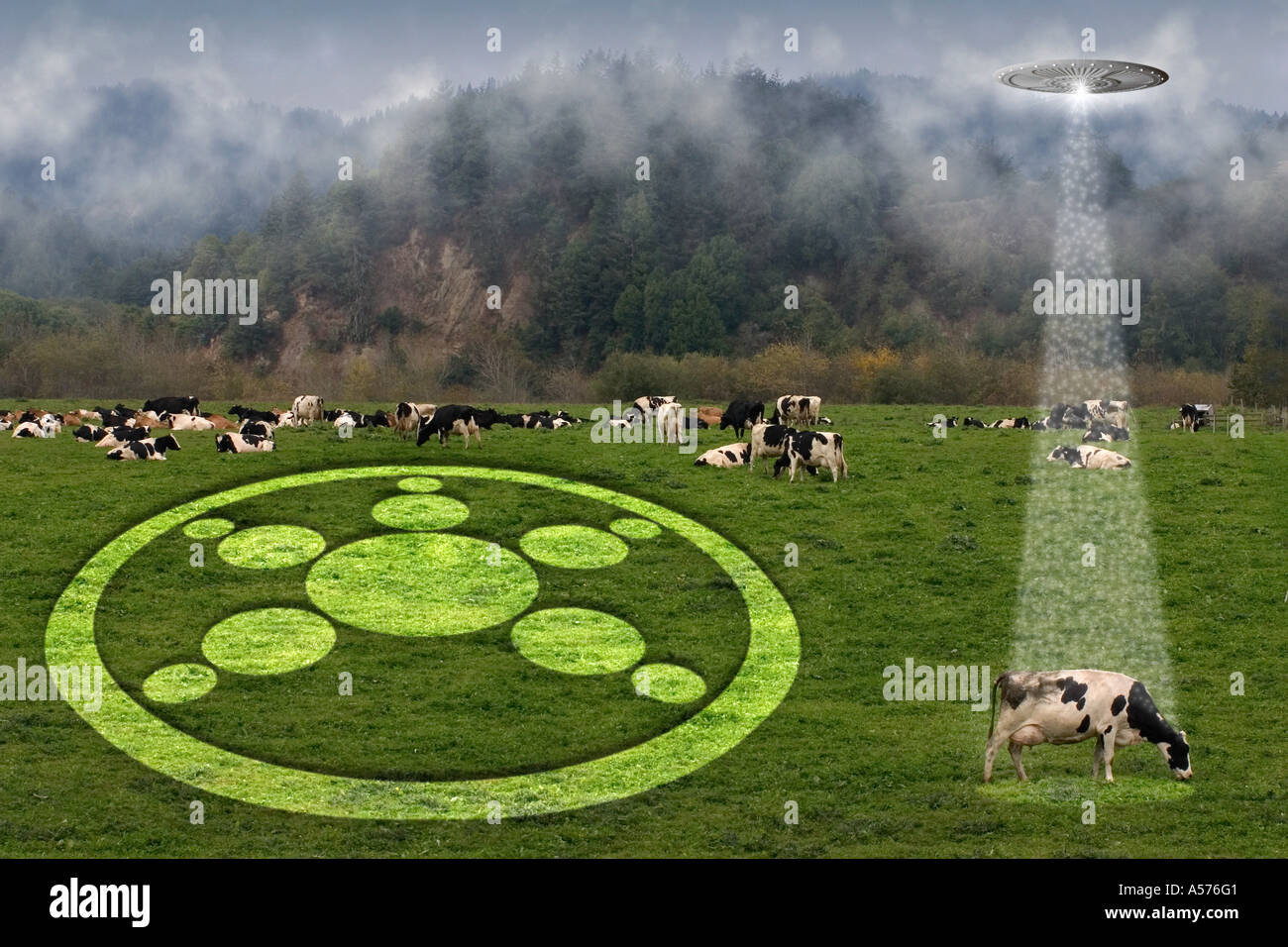 Crop Circle & Cow Abduction Stock Photo - Alamy