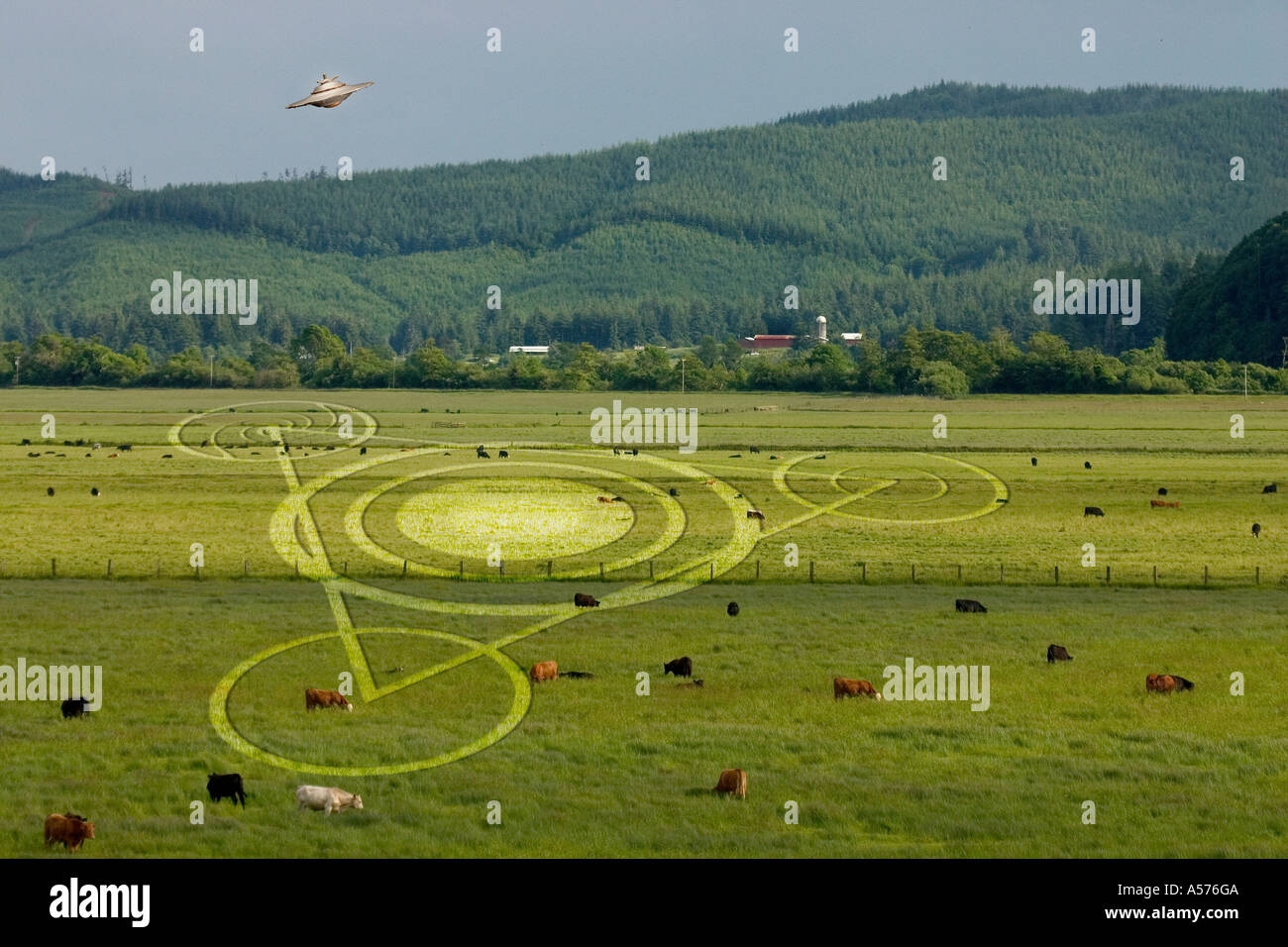 Cropcircle hi-res stock photography and images - Alamy